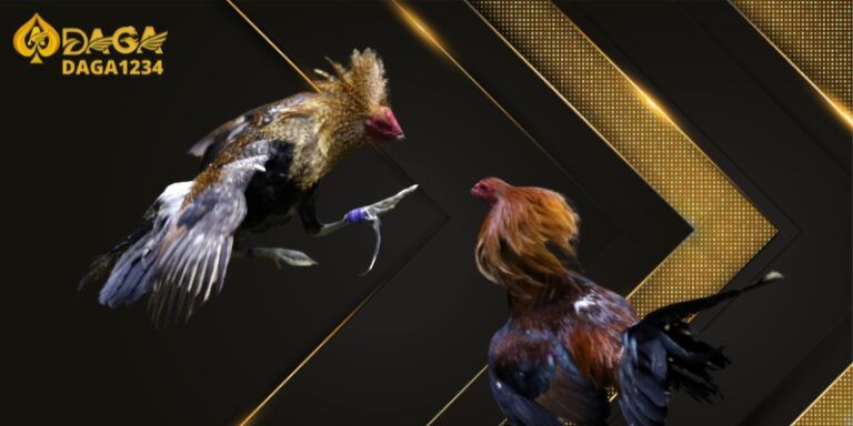 DAGA| Nhà Cái Đá Gà Hàng Đầu - Cập Nhật Link Mới Nhất